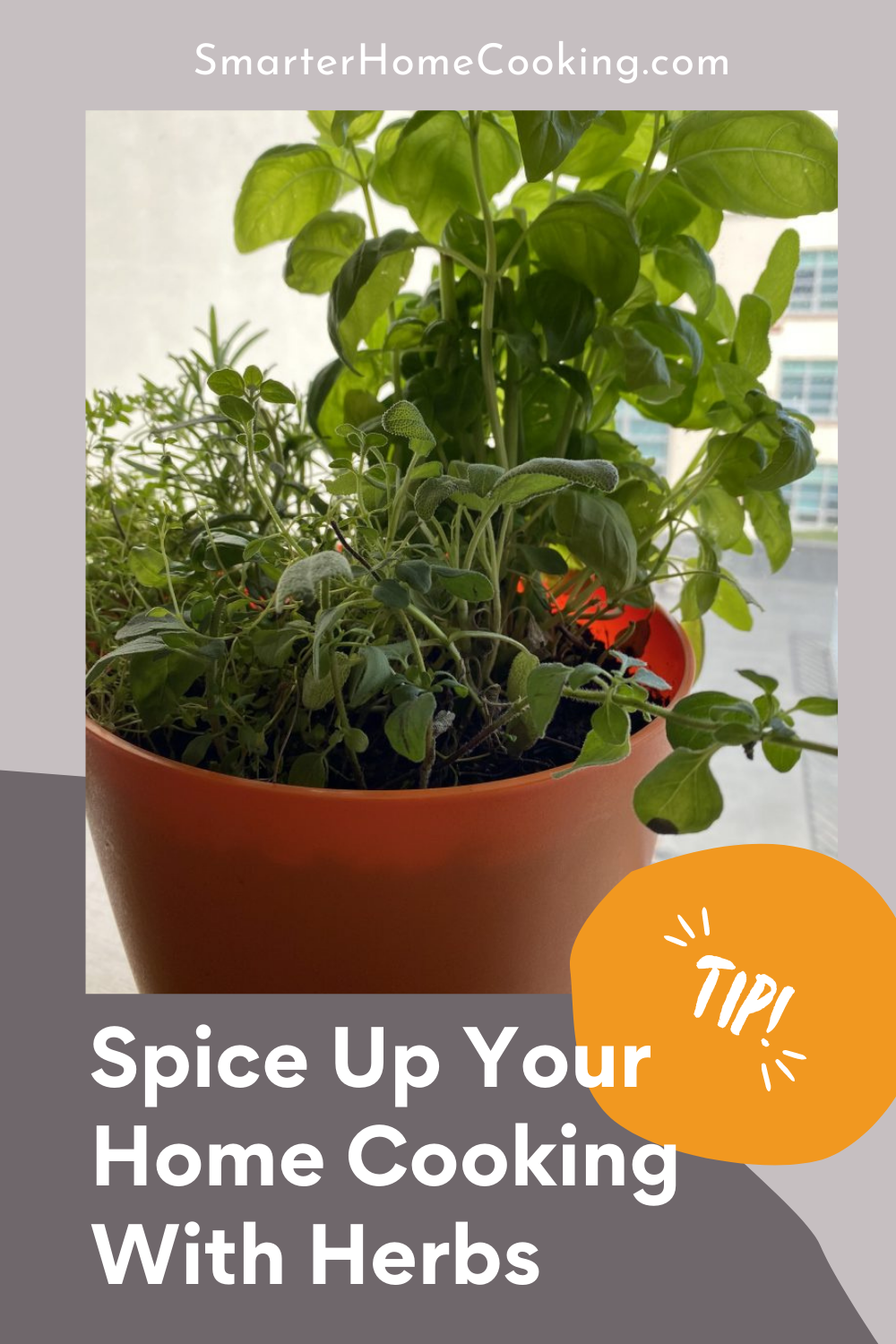 Spice Up Your Home Cooking With Herbs - Smarter Home Cooking