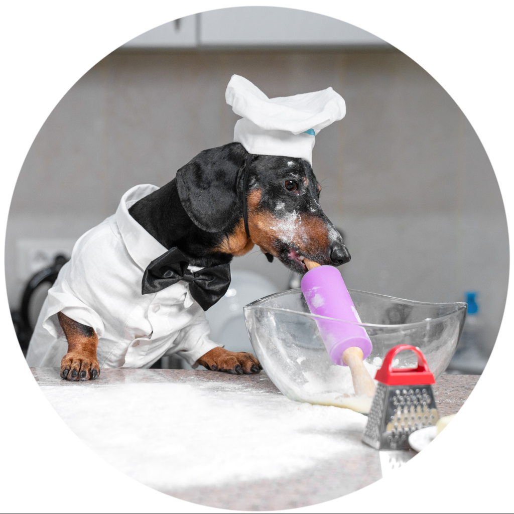 Chief Cooking Officer, Author at Smarter Home Cooking