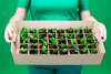 How To Save Vegetable Seeds To Grow At Home - Smarter Home Cooking